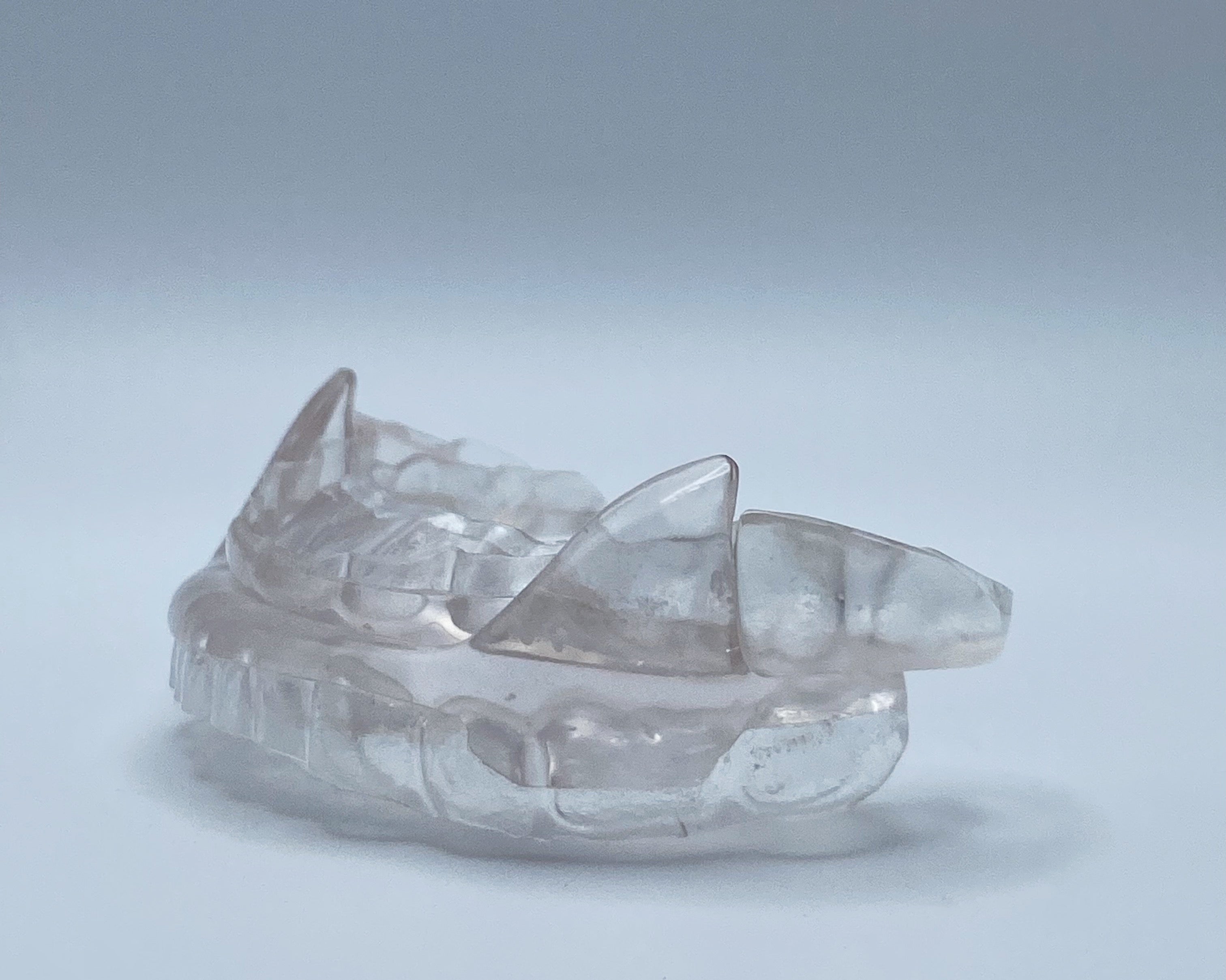 Splint Laboratory – Splintortho