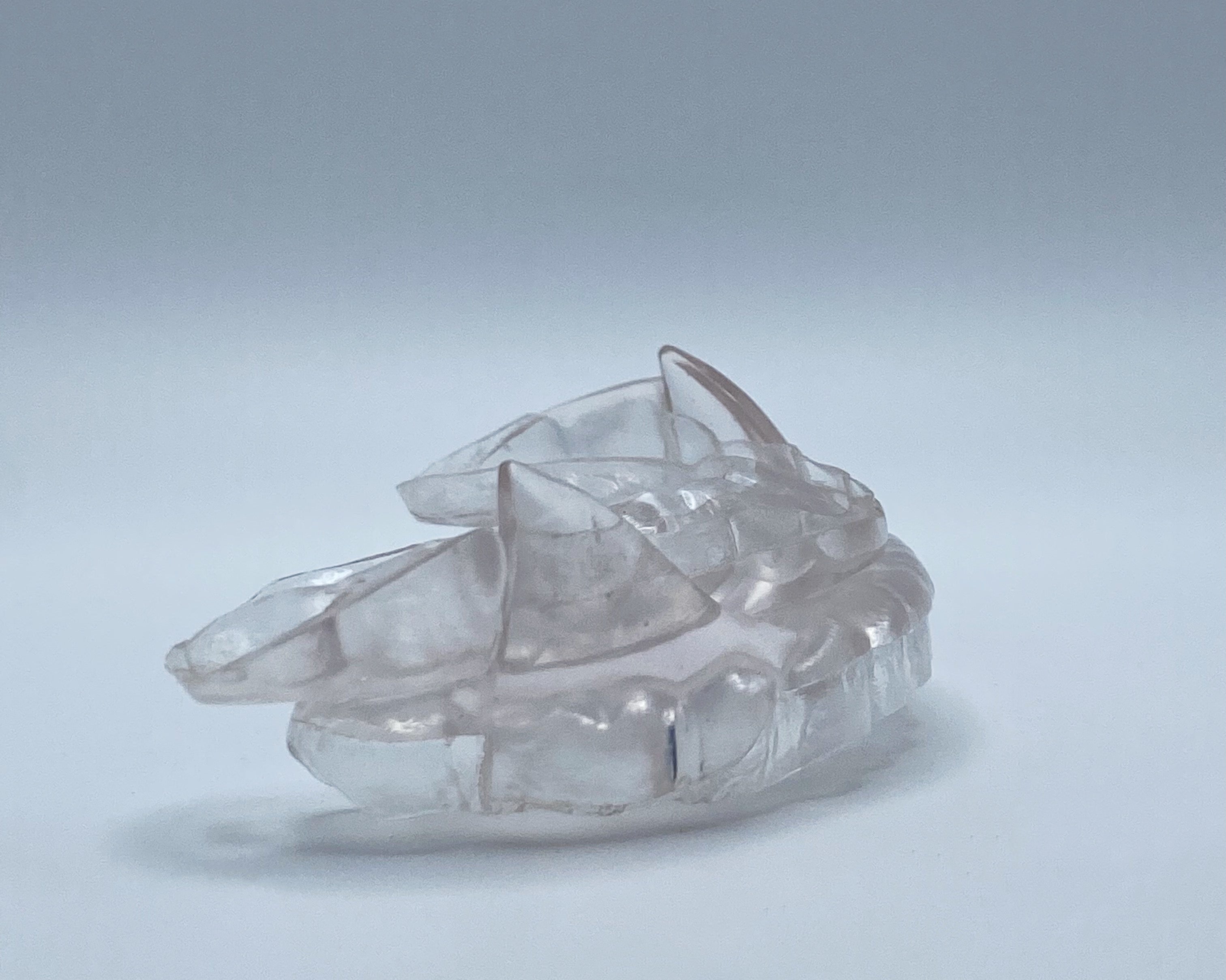 Splint Laboratory – Splintortho